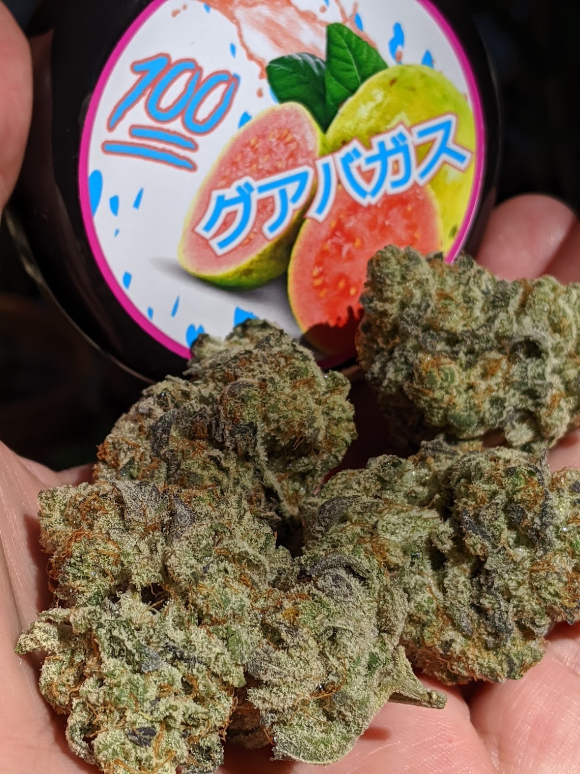Guava Gas from Norcal Nemo | West Coast Weed Reviews
