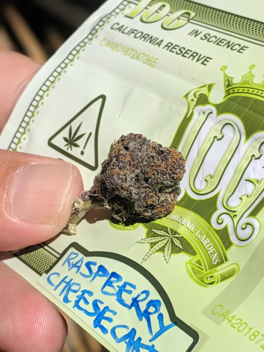 Raspberry Cheesecake from Indoor Organic Gardens | West Coast Weed Reviews