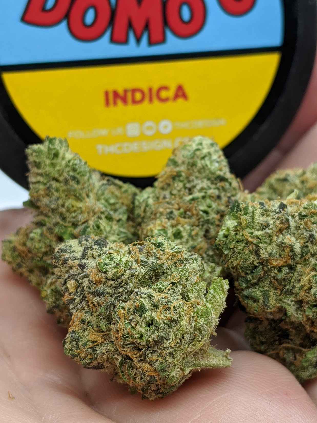 Domo G from THC Design | West Coast Weed Reviews