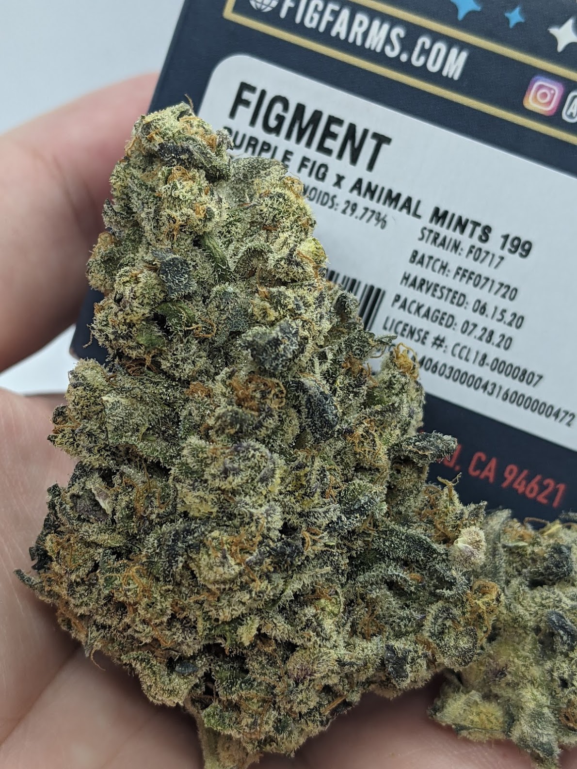 Figment from Fig Farms | West Coast Weed Reviews