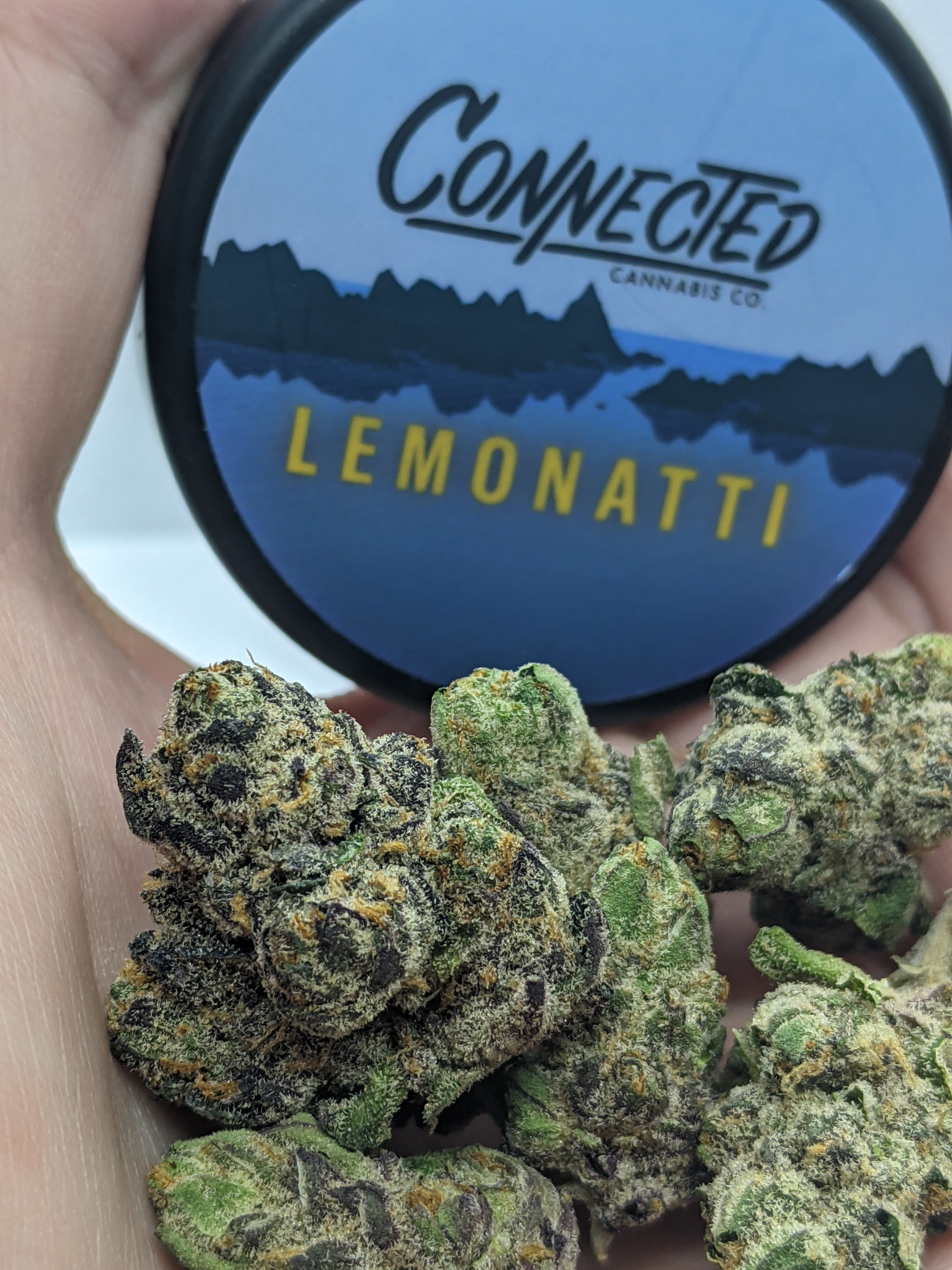 Lemonatti from Connected | West Coast Weed Reviews